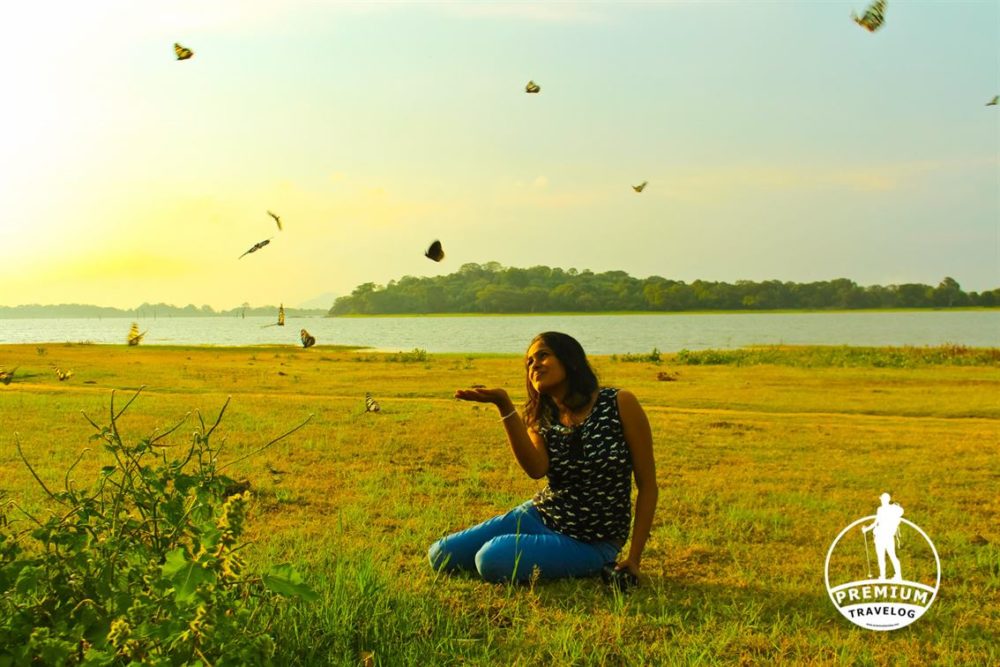 Kandalama (Wewa) Reservoir - Premium Travelog